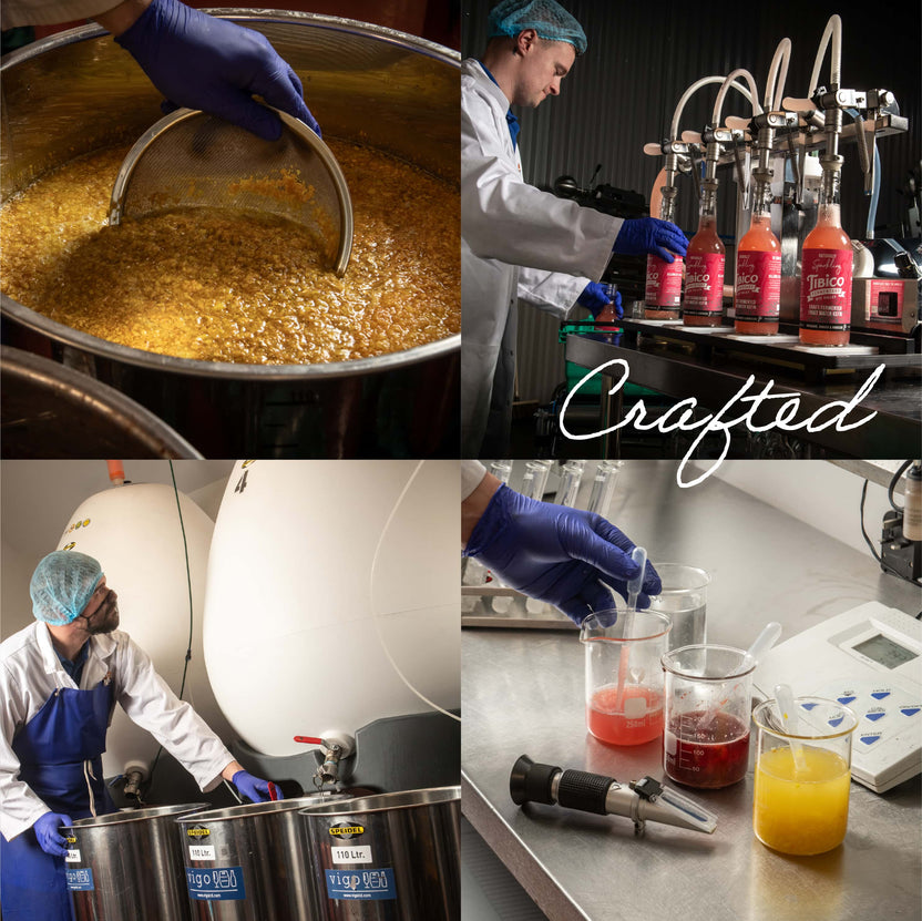 Fermentation – Tibico Fermentary Craft Fermented Water Kefirs